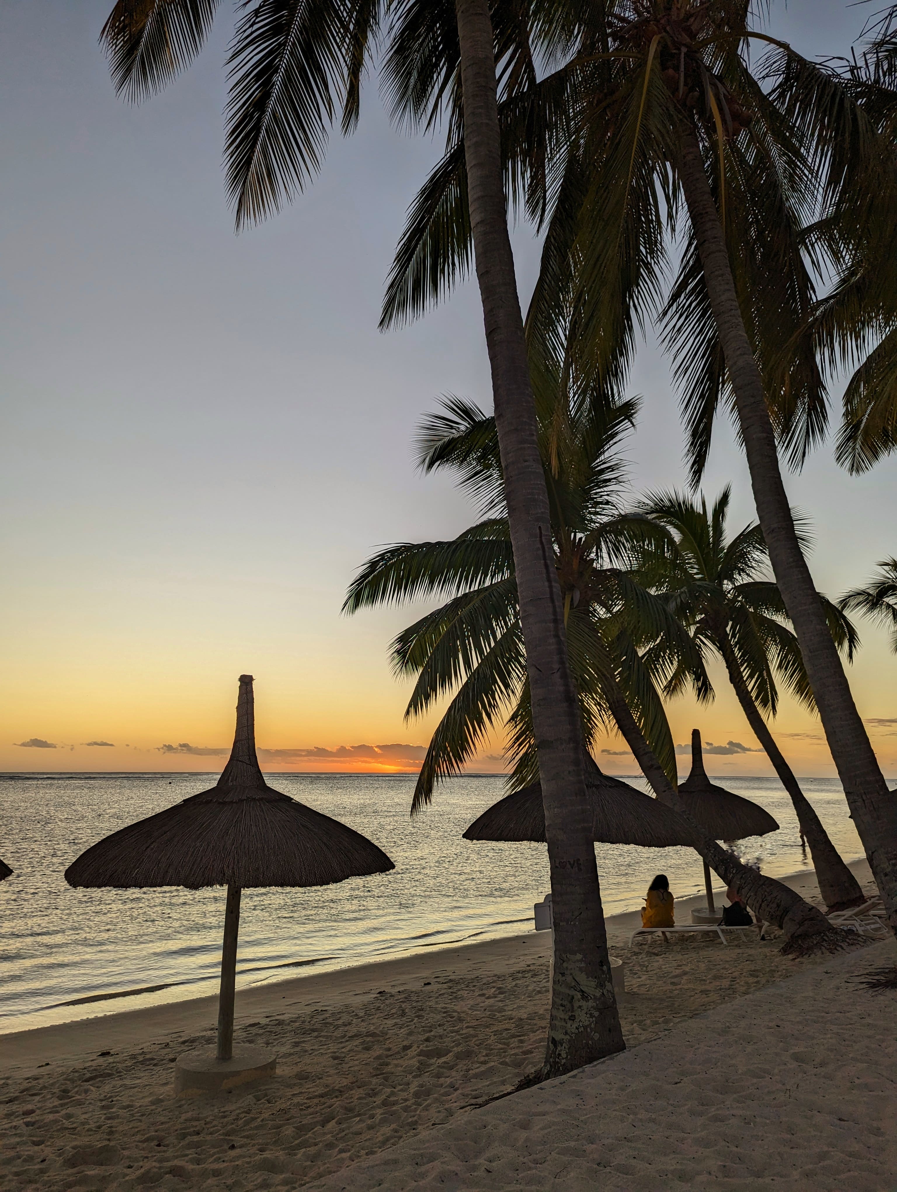Manou Travel